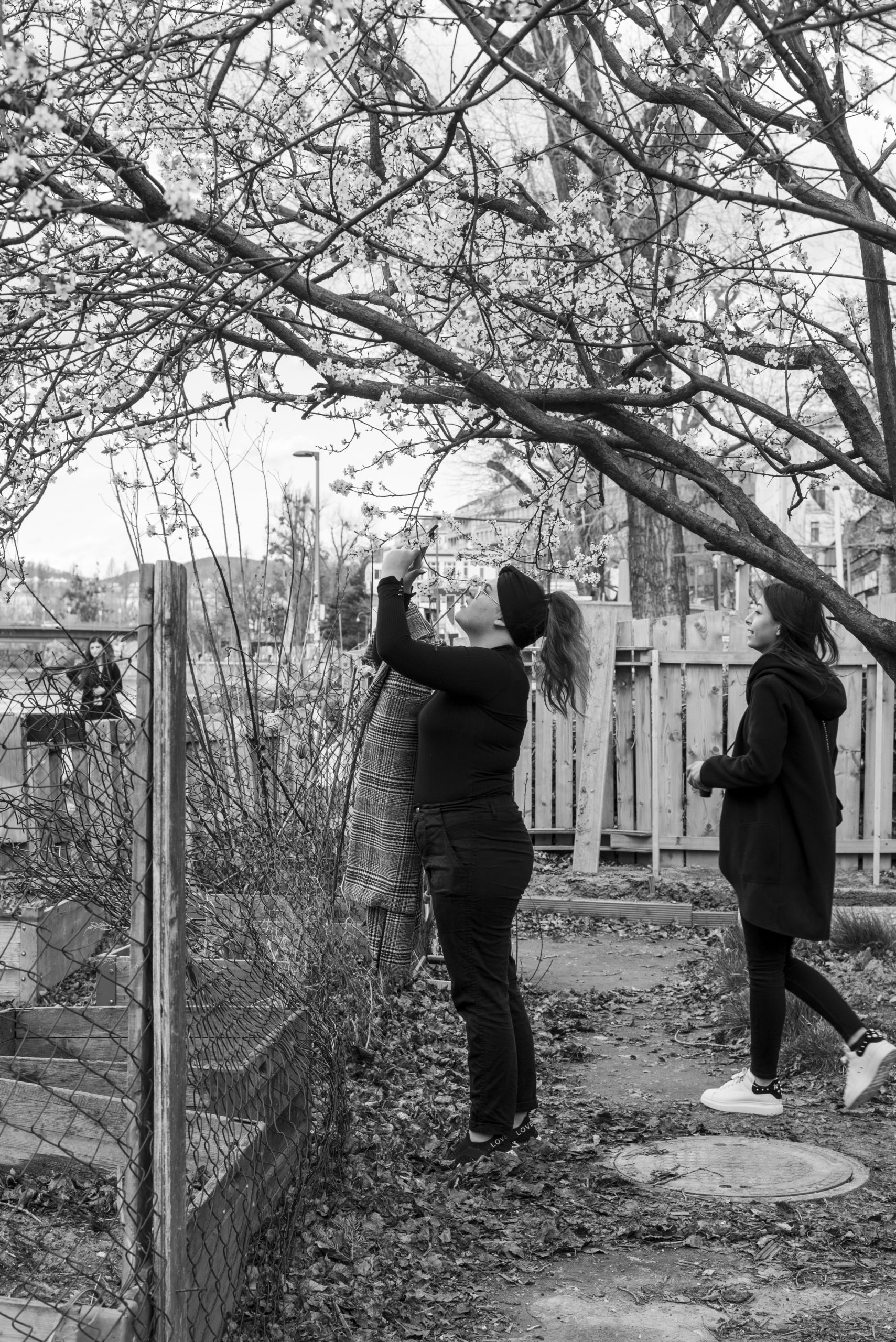 Fotograf*innen beim Fotografieren anderer Fotografierender ...